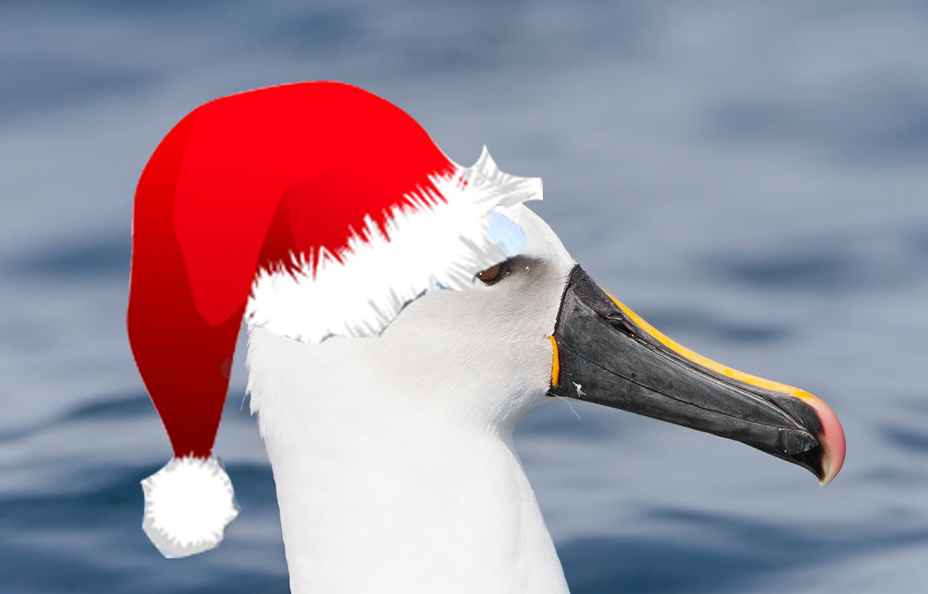 XMAS Tri-monthly Meeting – Albatross Musical Theatre Company