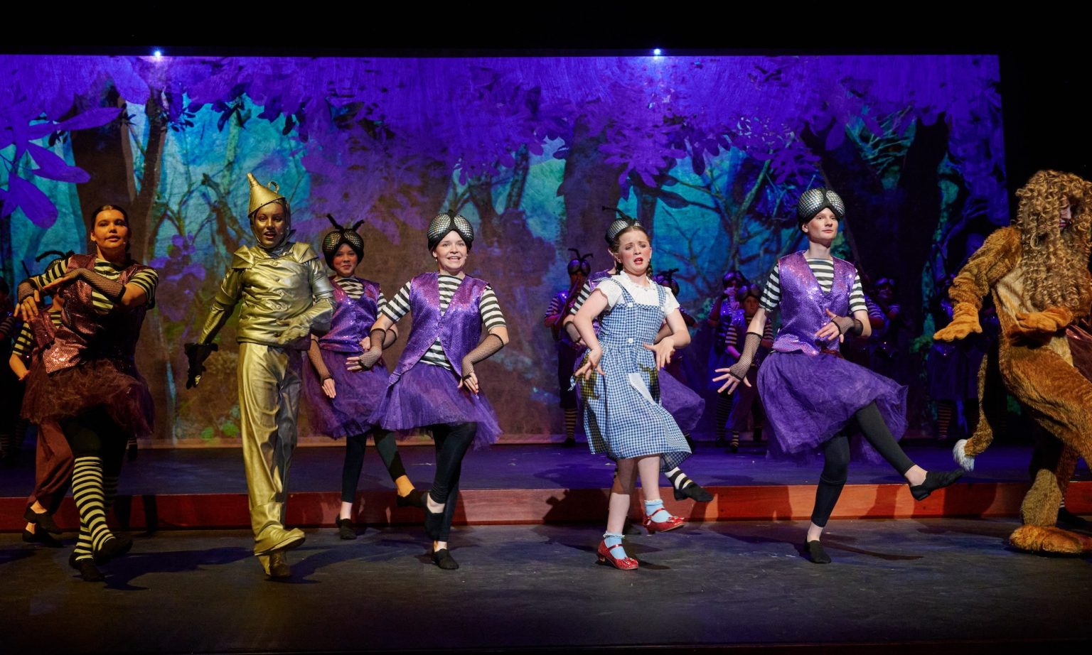 Finding Nemo Information and Enrolment – Albatross Musical Theatre Company
